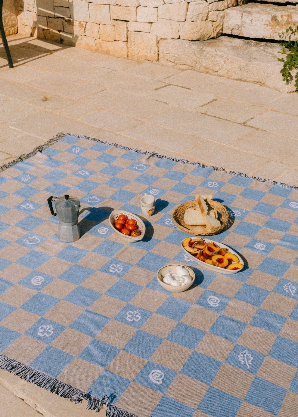 Check Picnic Rug – The Wholesome Store